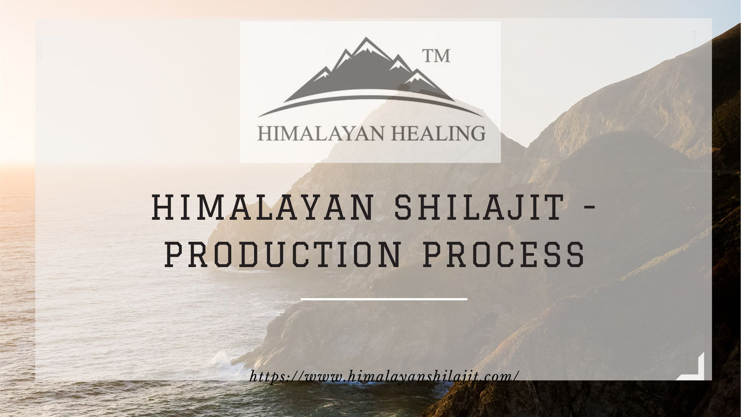 Himalayan Shilajit - Production Process